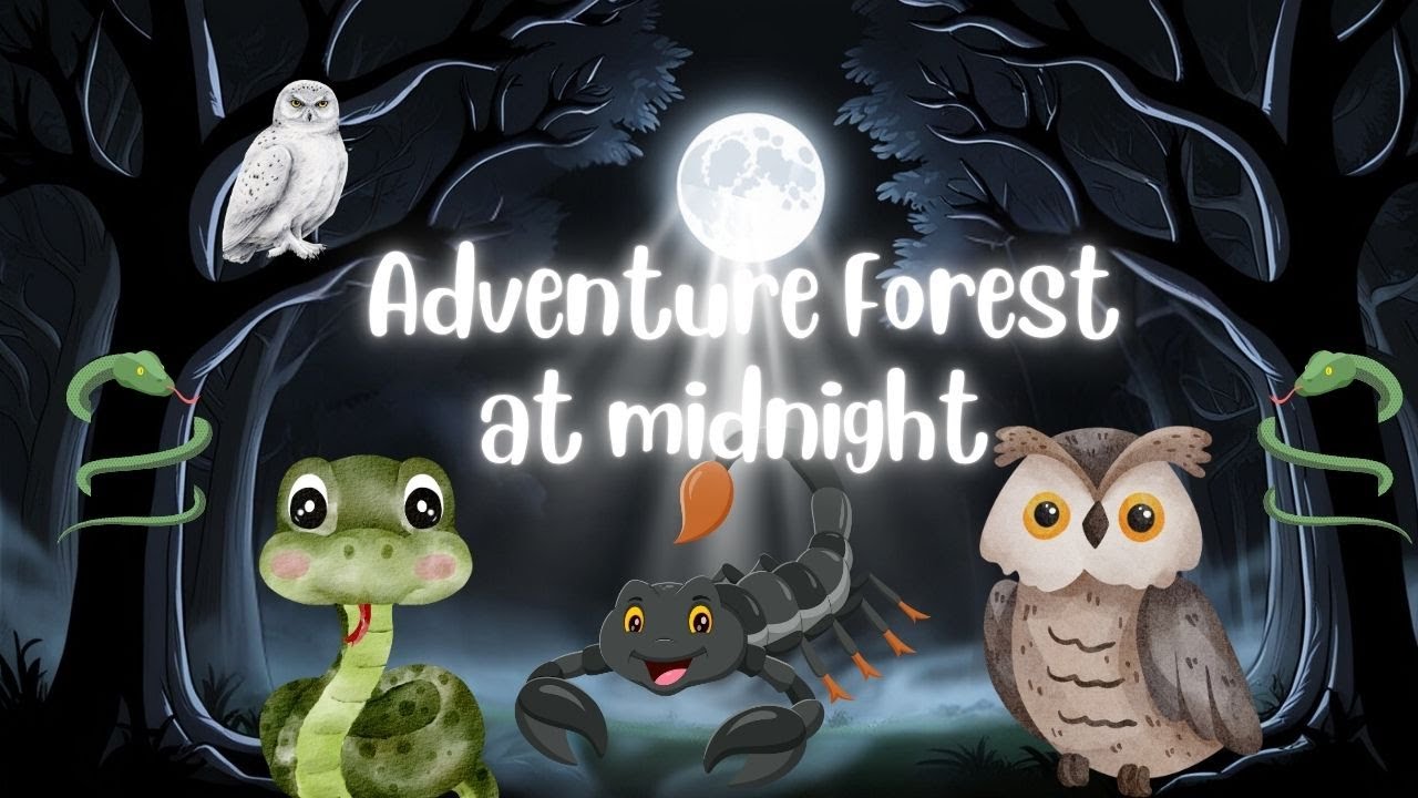 Forest at Night! Meet the Animals That Come Out to Play! - YouTube
