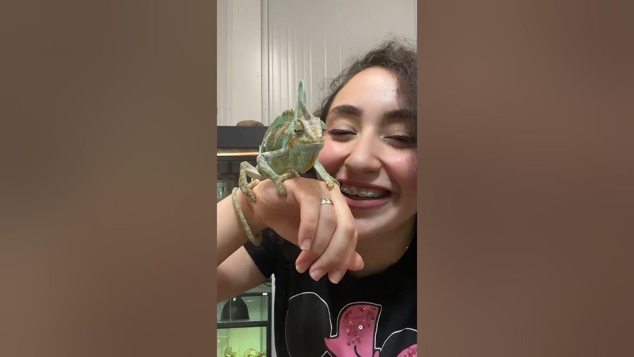 ضيفوني انستا rose_alaaa - YouTube