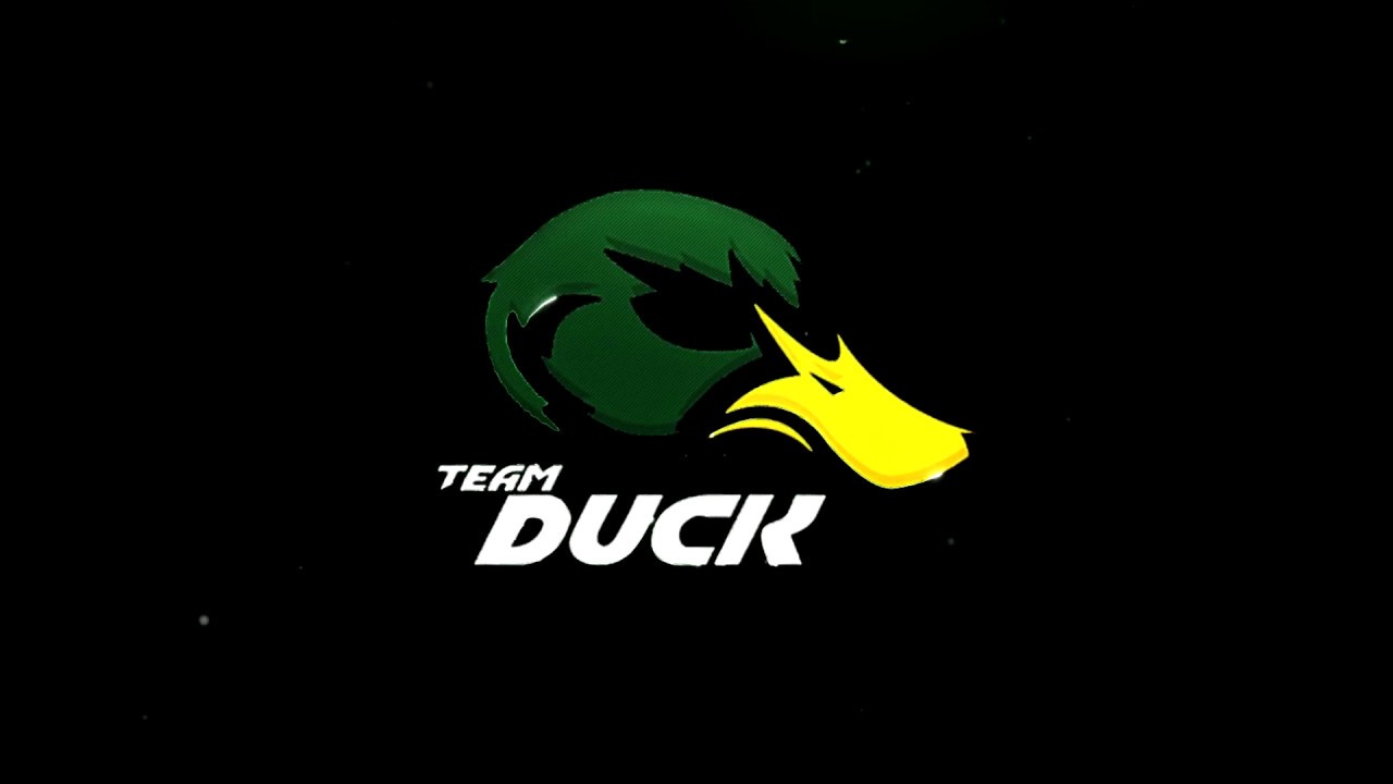 INTRO TEAM DUCK - YouTube