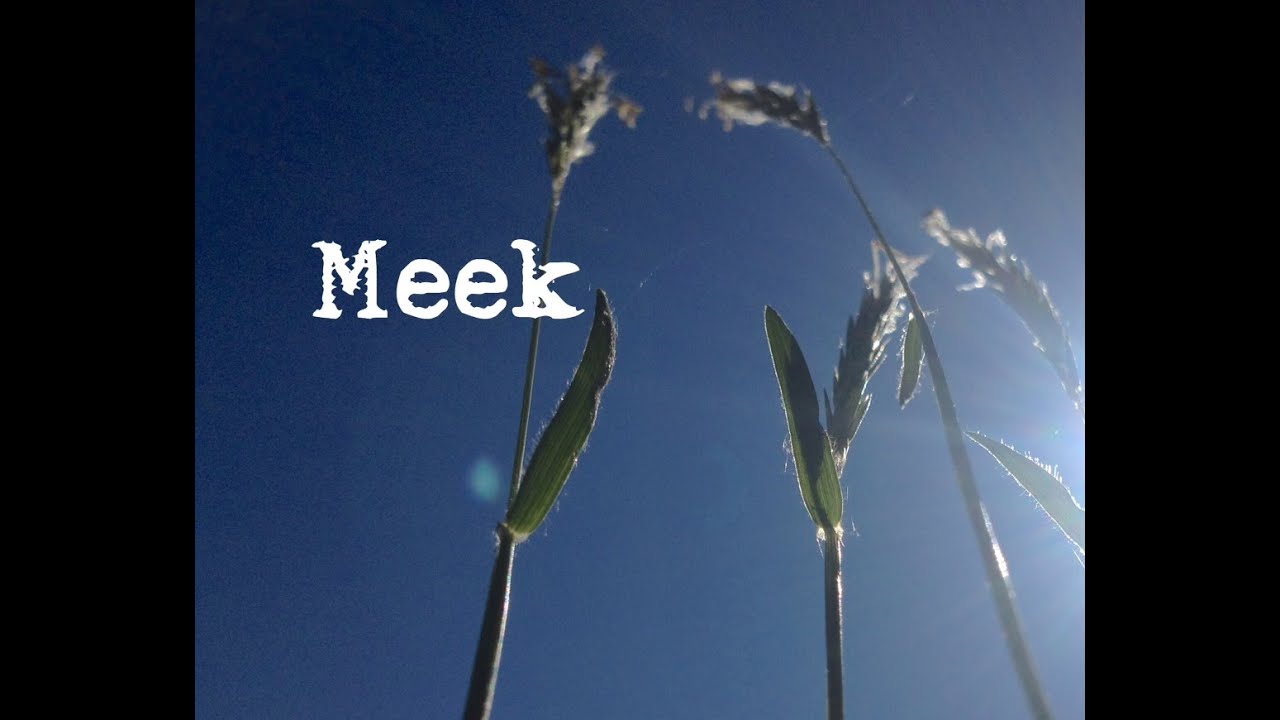 MEEK, by Peter Walker - YouTube