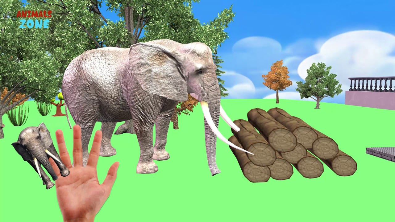 Zoo animals finger family || Daddy finger daddy finger song || Rhymes ...