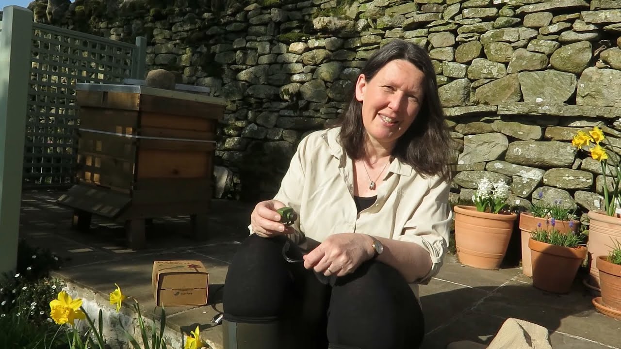 University of Cumbria - How To Install Nestcams with Dr Alex Playford ...