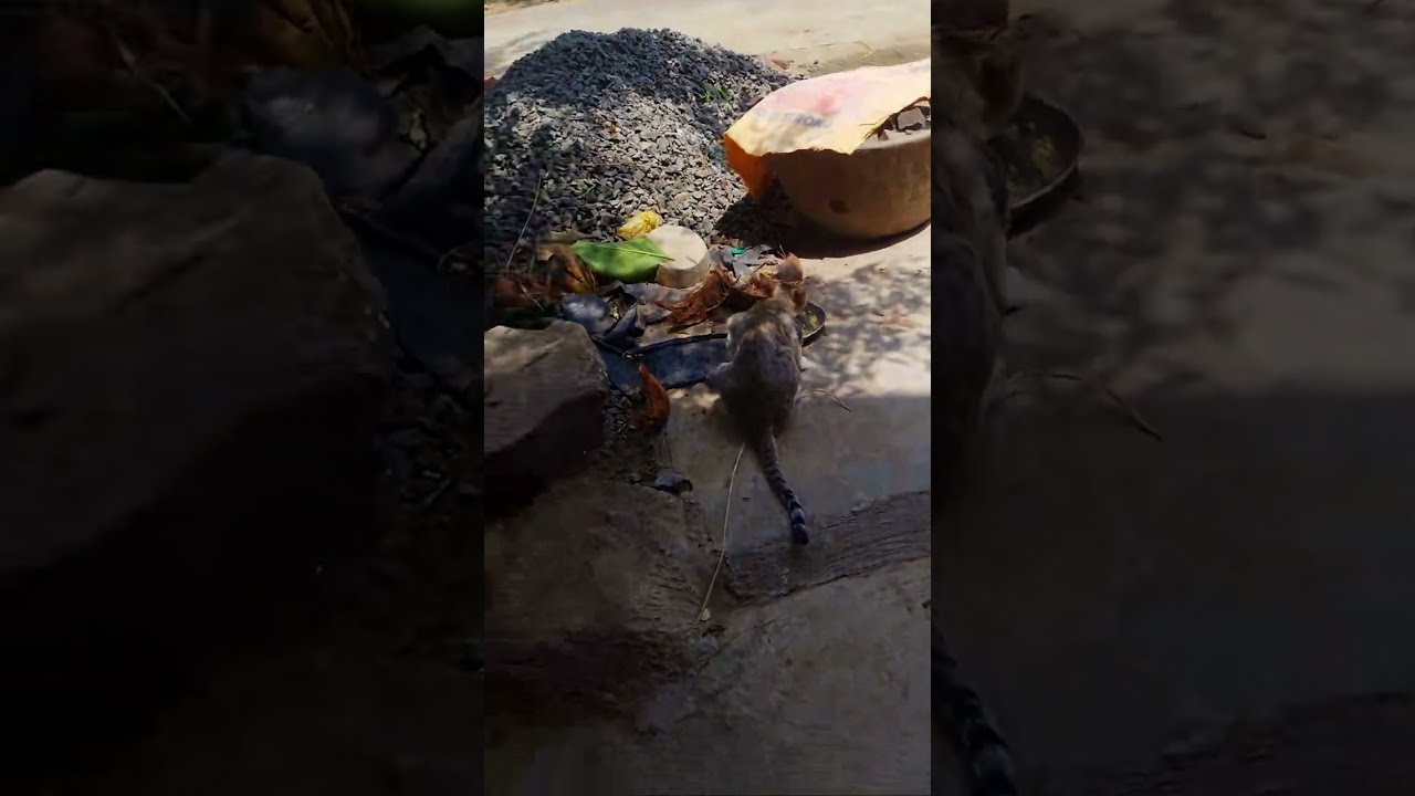 Jitendra Kumar Biswal is live - YouTube