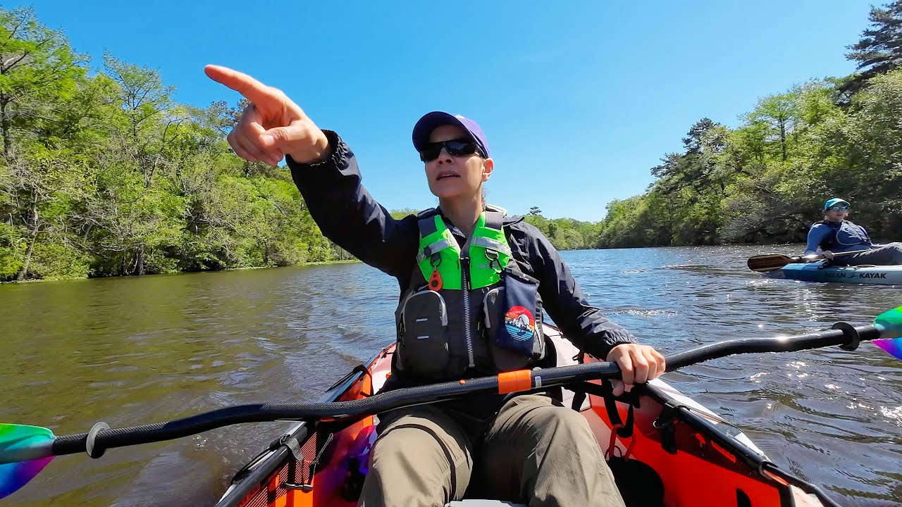 Blazing A New Kayak Trail On The Ochlockonee River (+ 15 gators!) - YouTube