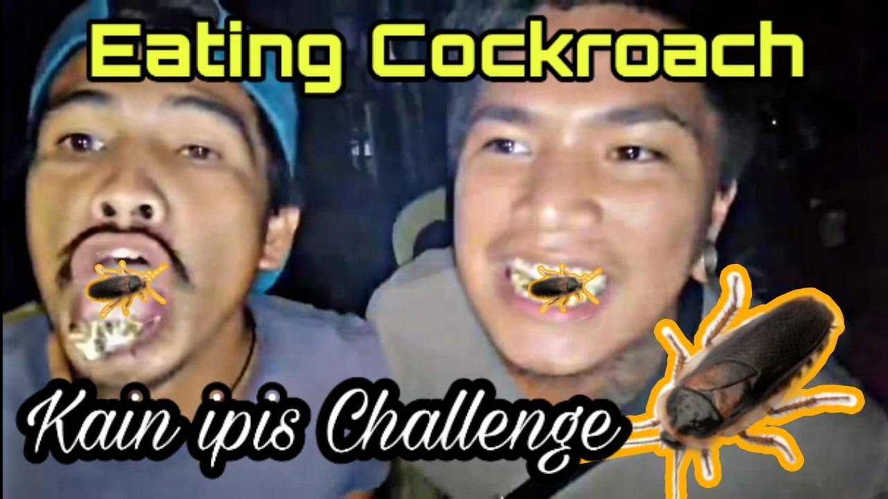 Eating Cockroach Challenge | Kain ipis Challenge ( Danong TV vs Lolong ...