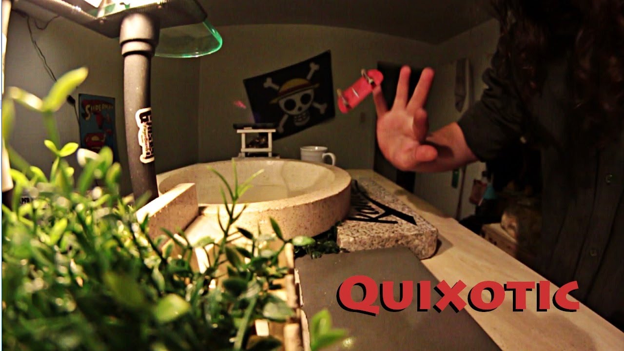 Quixotic - YouTube