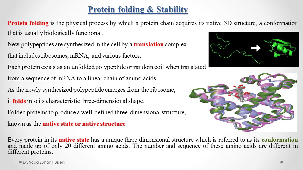 Protein lecture 2 - YouTube