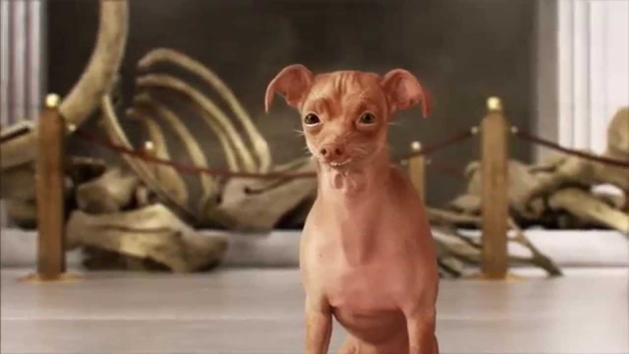 KOFOLA DOG – museum, full CGI TV commercial. - YouTube