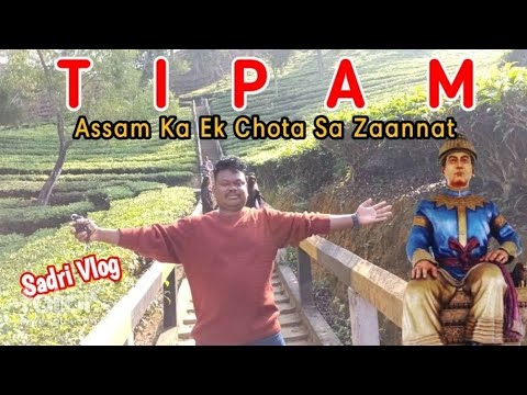 Tipam Hill Tour | Capital of Ahom | Assam ka Chota Zaannat 👍#tipam # ...