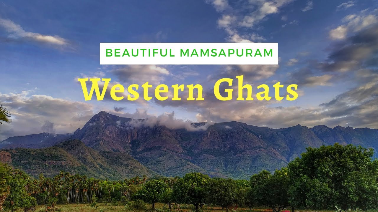 Beautiful Mamsapuram | Beauty of Western Ghats | Nature |Trees | Nature ...
