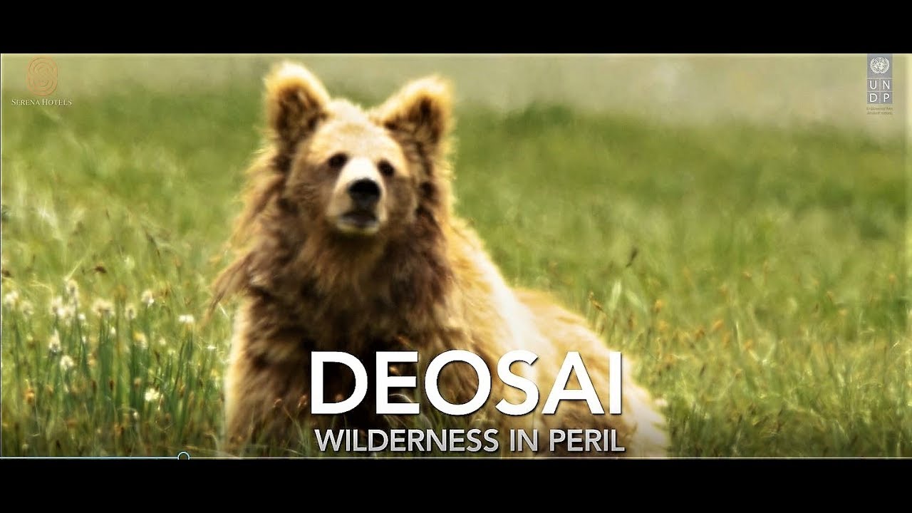 Deosai - Wilderness in Peril (Conservation of Himalayan Brown Bear ...