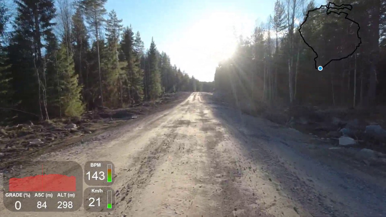 First test of DashWare - DJI Osmo Action + RockSteady [1080p] - YouTube