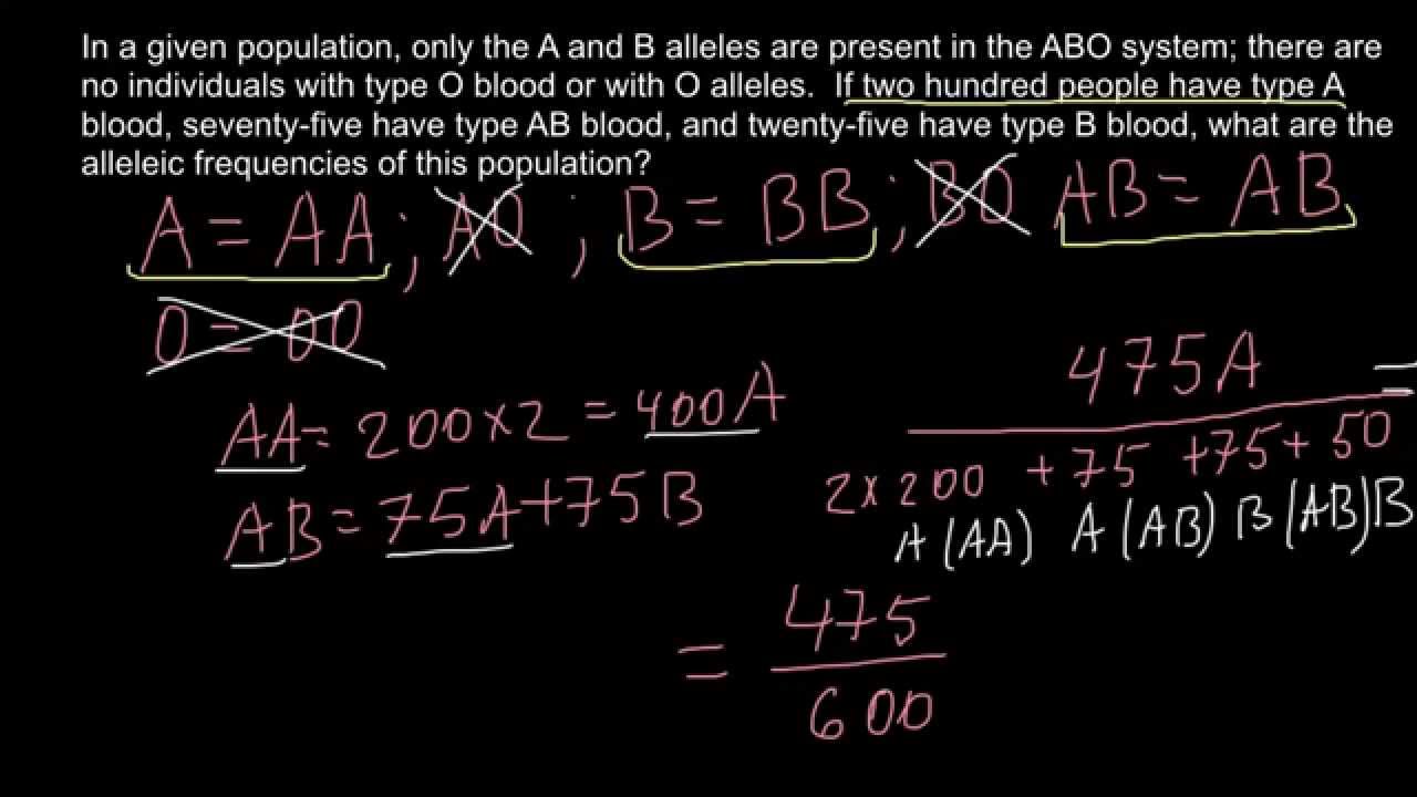 How to find allele frequency in a gene pool - YouTube