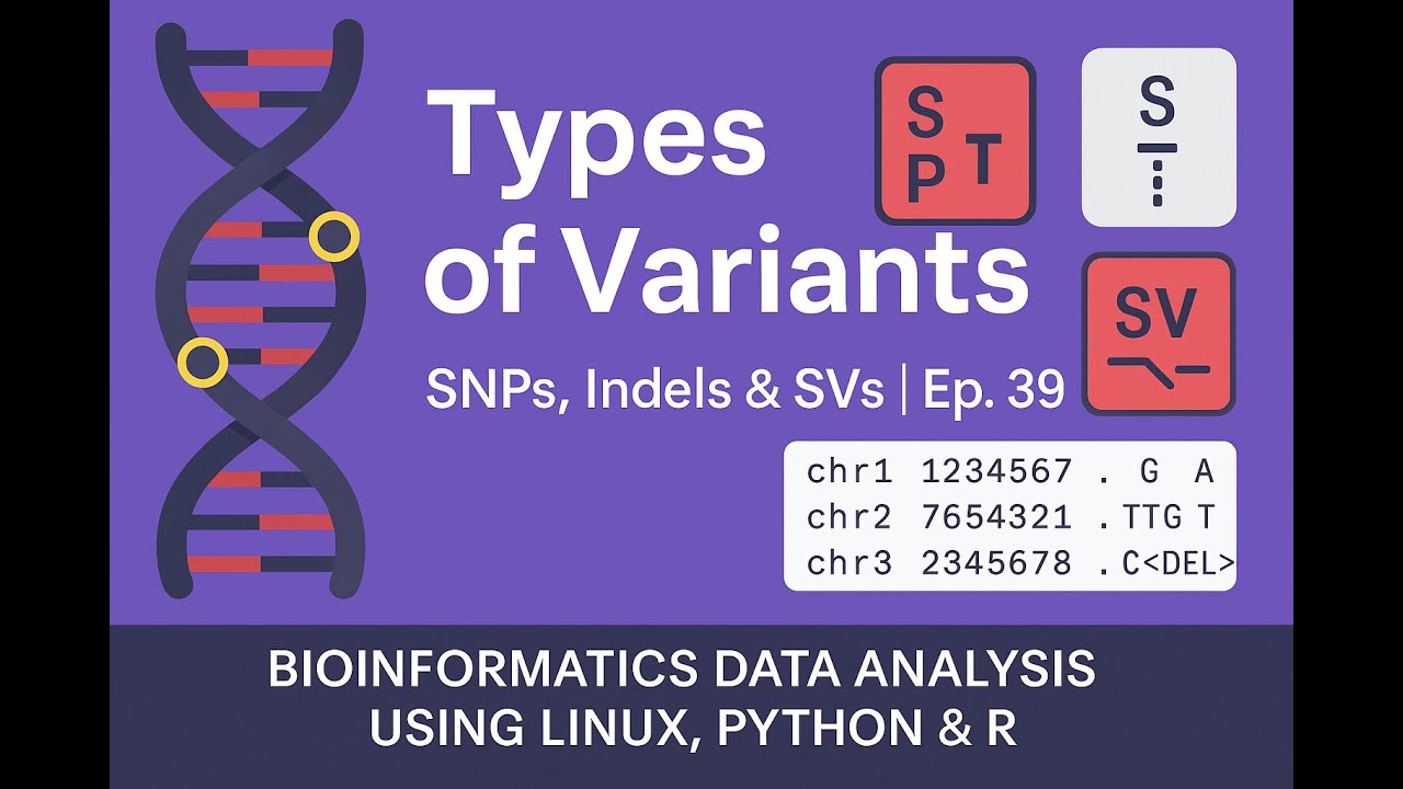 Types of Variants in Variant Calling | SNPs, Indels & SVs | Ep. 39 ...
