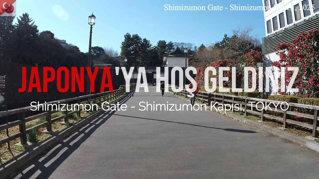[Walking] Kitanomaru Park & Shimizu Gate: Where Cherry Blossoms Meet ...
