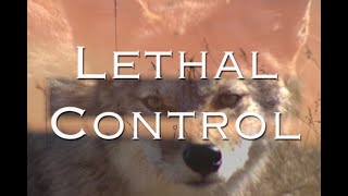 Wolf Awareness - Poison-Free