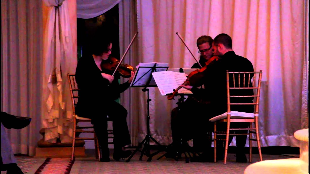 DJ Raffi String Trio - YouTube