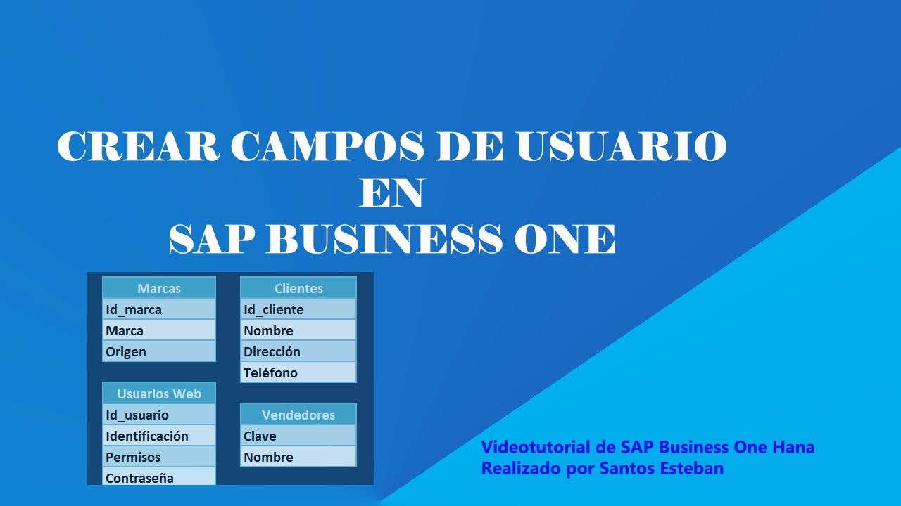 Crear campos de usuario en SAP Business One - YouTube
