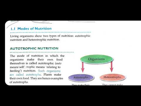 Class - 7th, Science,Chapter - 1, Nutrition In Plants - Part - 3, Modes ...