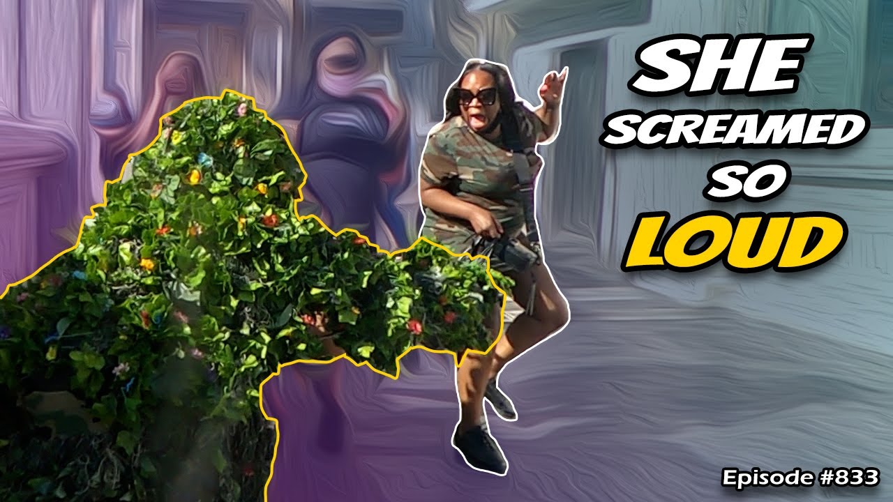 Loud Scream Reactions!!! #833 - YouTube