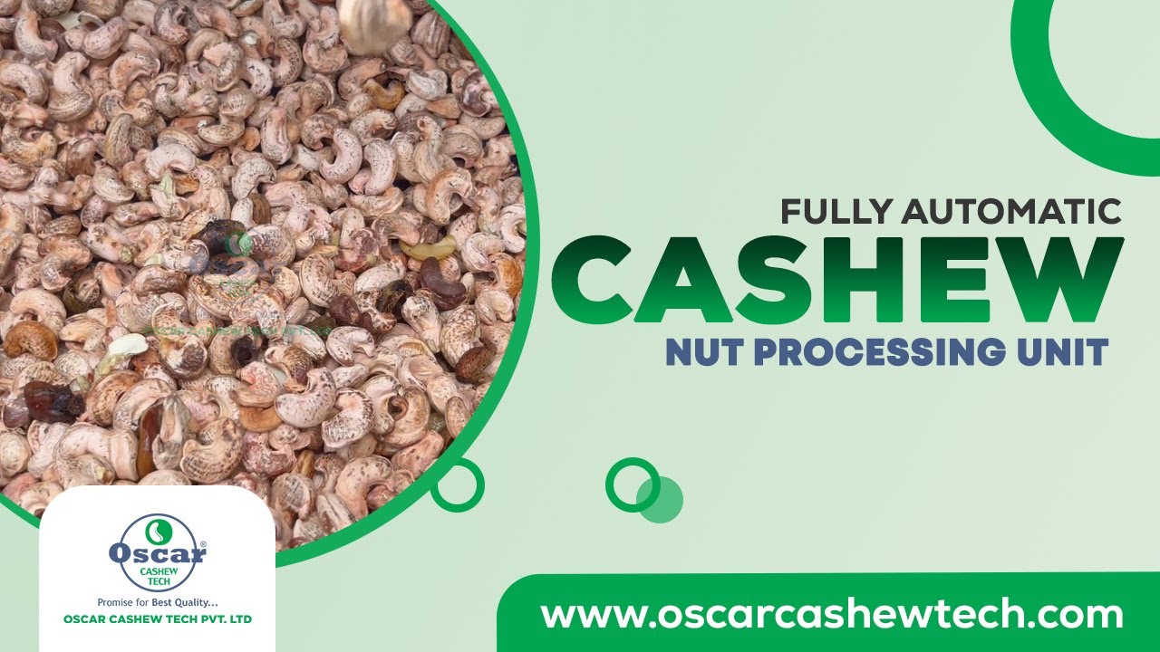Fully Automatic Cashew Nut Processing Unit, Cashew processing Plant ...