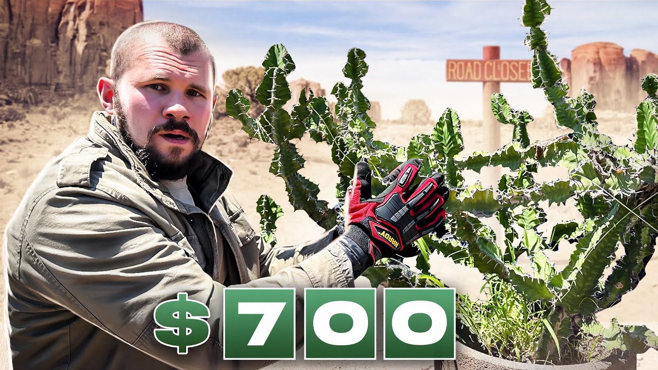 CROSS COUNTRY CACTUS ONTO BREAKING BAD TERRITORY! - YouTube