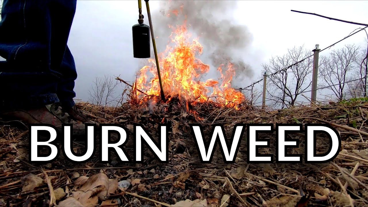 Burning Before Spraying Pre-emergent Weed Stopper - YouTube