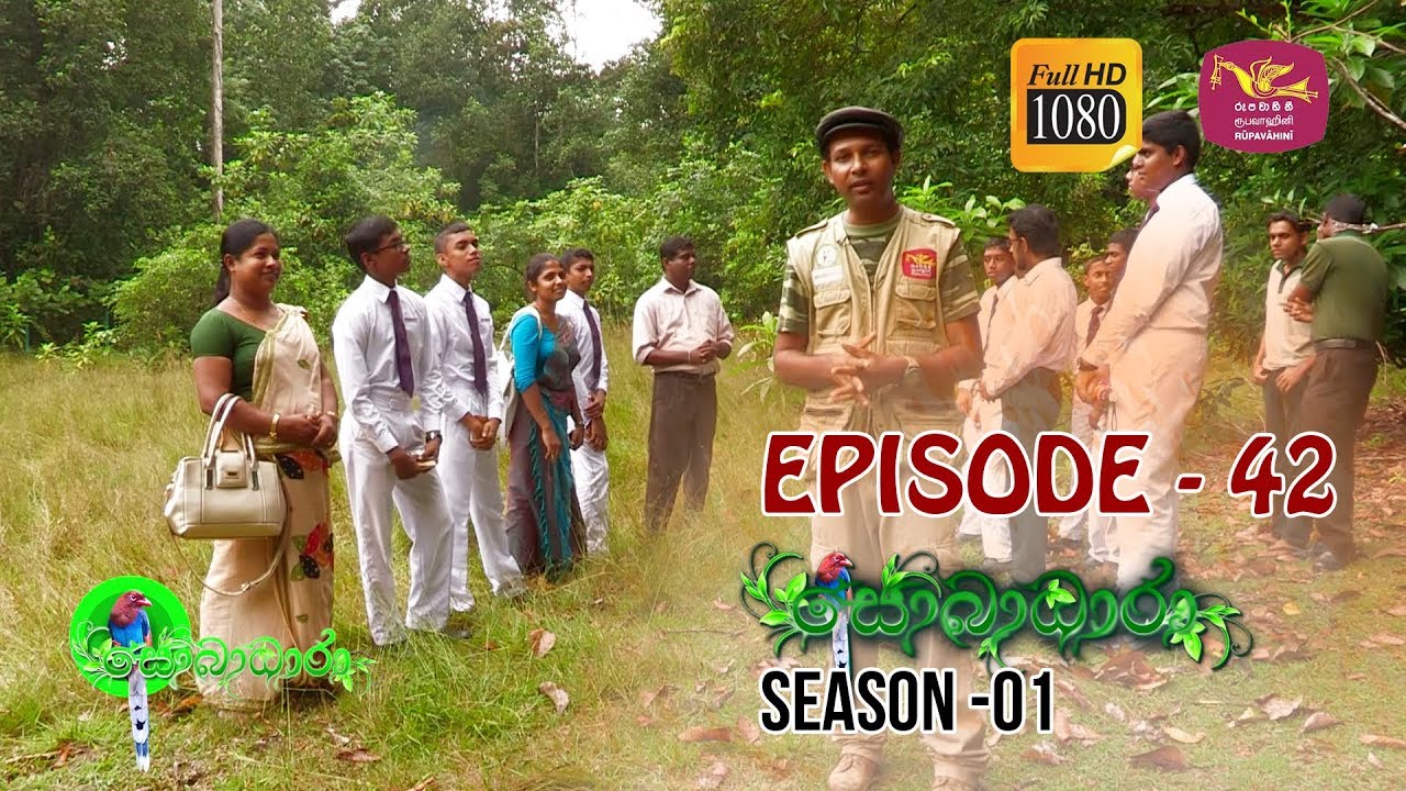 Sobadhara | Season - 01 | Episode 42 | Sobadhara Rupavahini - YouTube