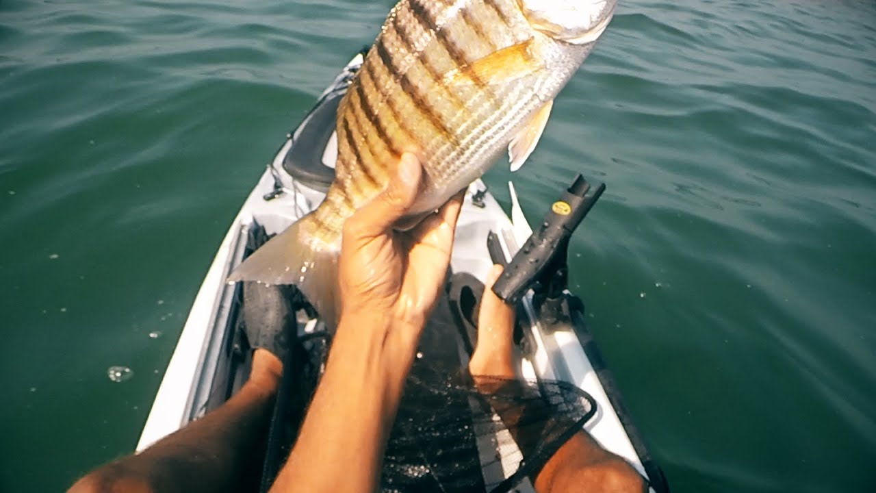 Pêche en kayak Maroc ( marbré session ) fin-octobre 2017 - YouTube