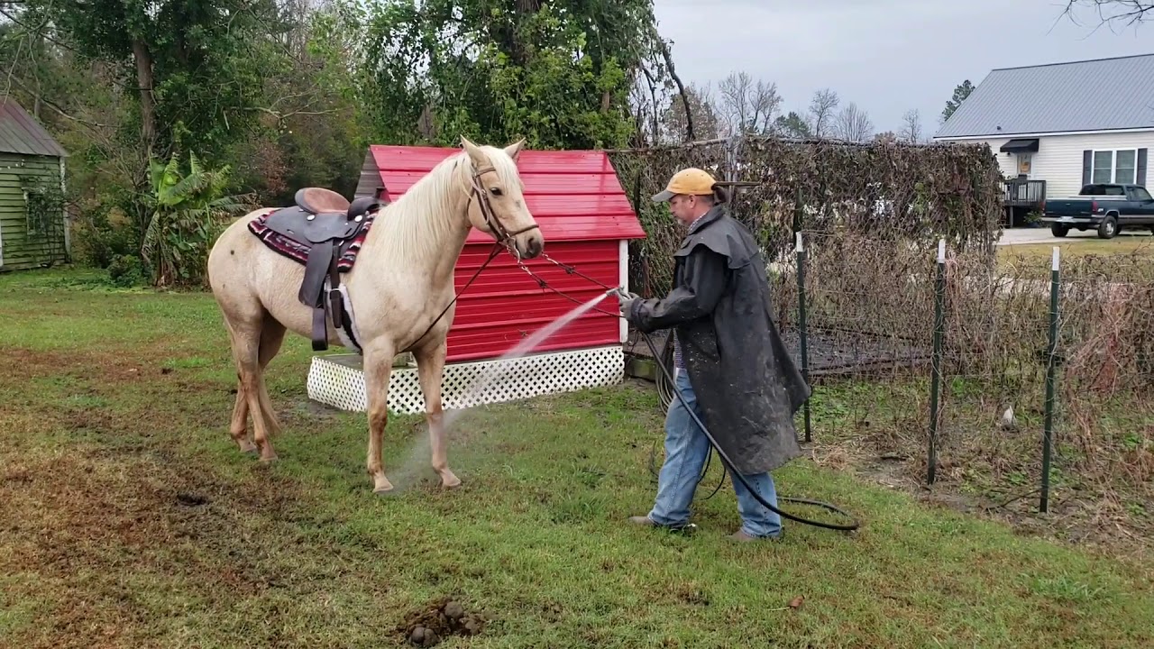 Lilly rinse - YouTube