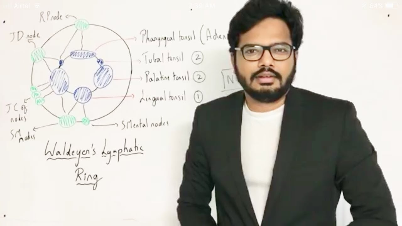 Waldeyer’s Lymphatic Ring - YouTube