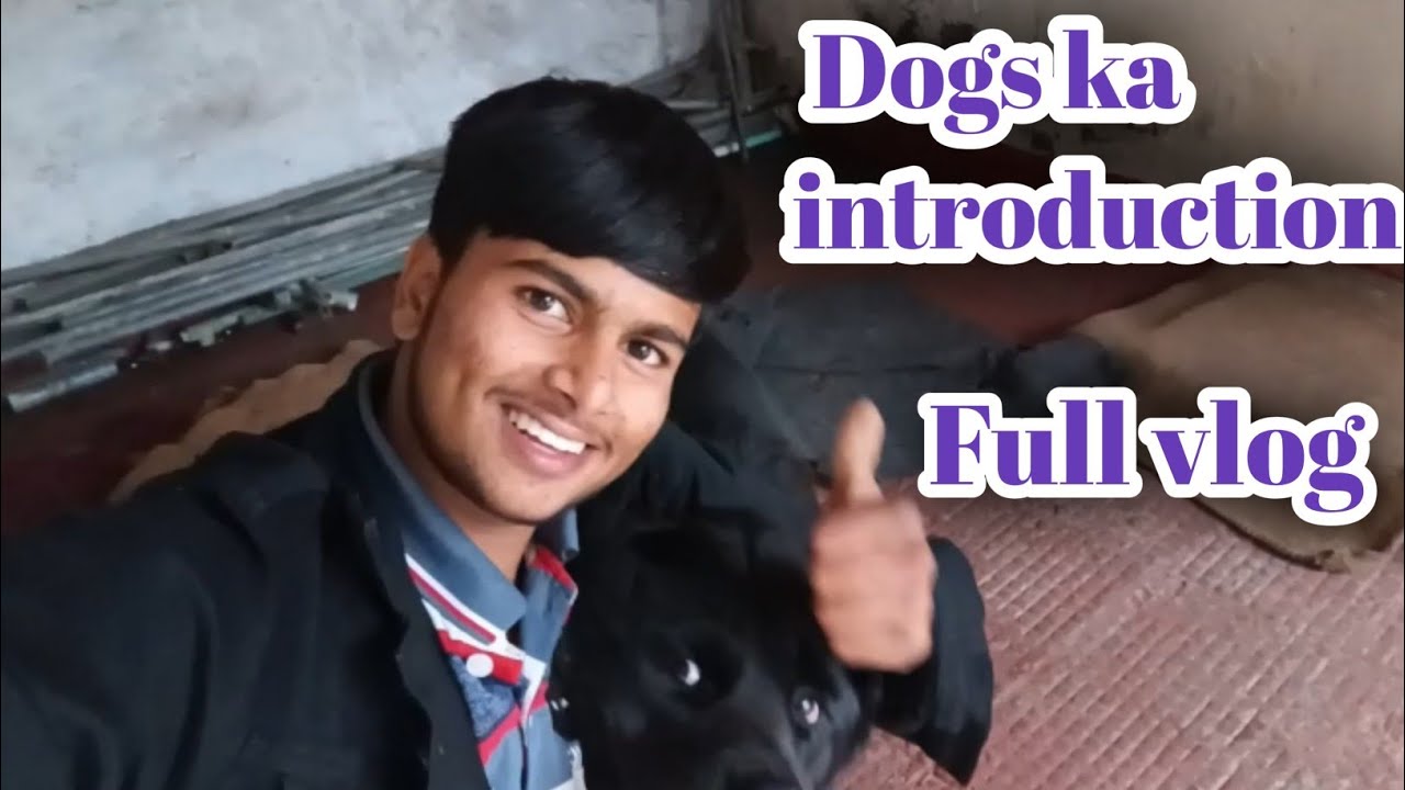 Dogs ka full introduction full vlog 🦮🦮 - YouTube