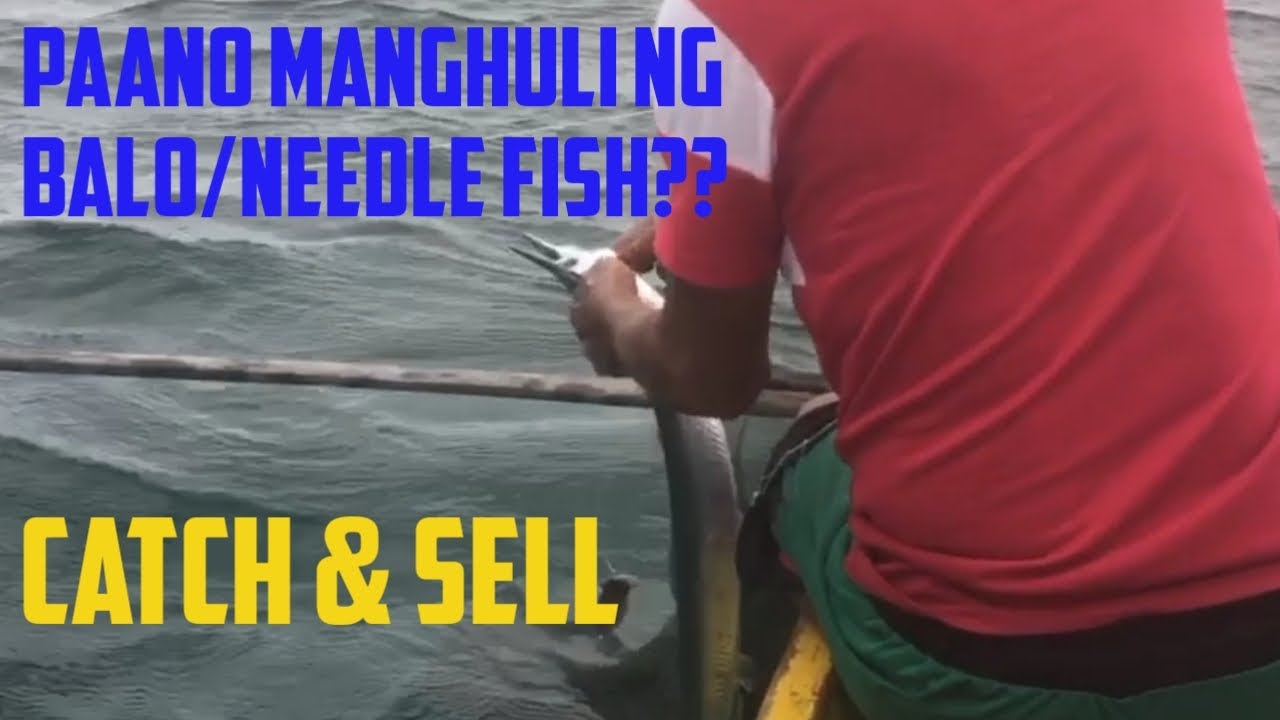 PAANO MANGHULI NG BALO OR NEEDLE FISH - HOW TO CATCH FISH IN ...