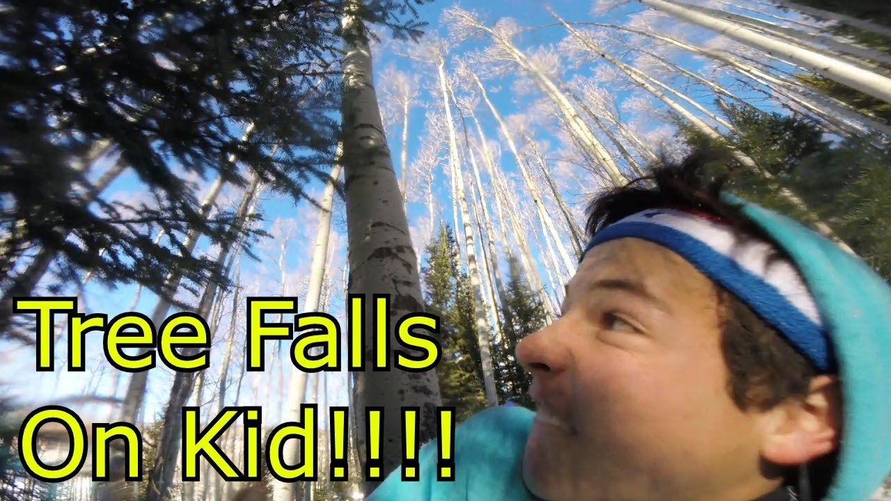 Pro Christmas Tree Hunters!! TREE FALLS ON KID!! - YouTube