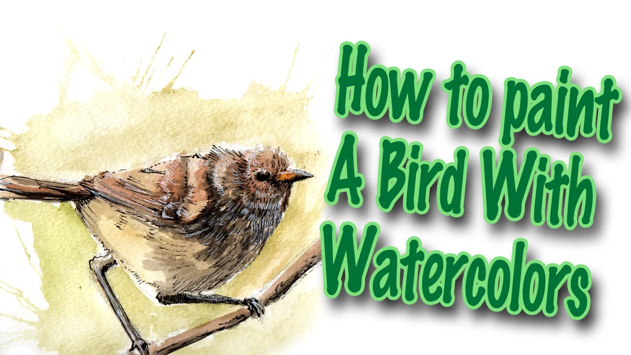 How to Paint a Small Bird Using Watercolors: Narrated speed-painting ...