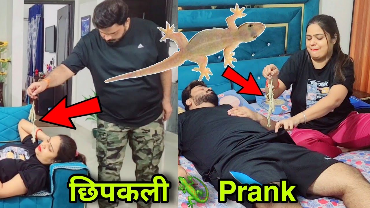Lizard 🦎 Prank On Wife | D2 Prank #funny - YouTube