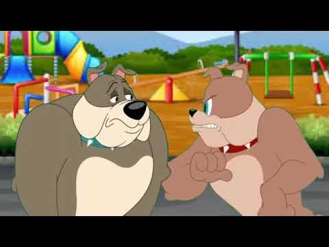 Tom & Jerry | Best Tom & Jerry Chase Scenes 🐱🐭 | Classic Cartoon Compilation | @wbkids - YouTube