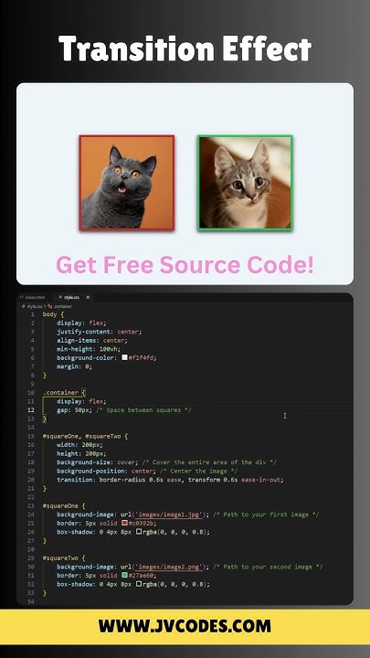 Transition Effect | Free JV Source Codes #transition #css #html #shorts ...