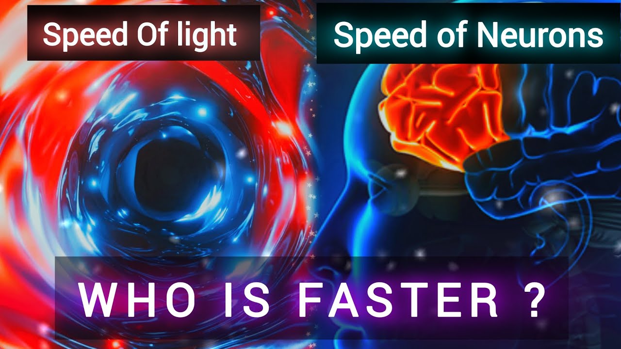 " The Speed of Neurons : Faster than light ?!? - YouTube