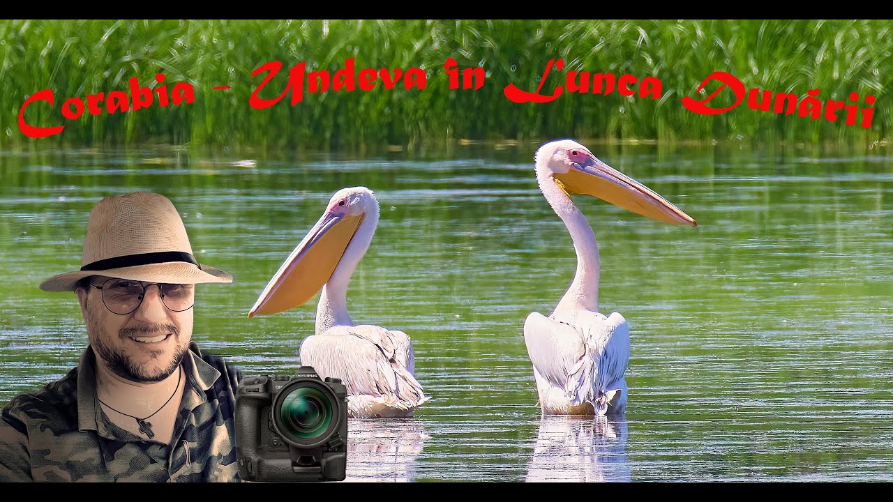 Corabia - Undeva în Lunca Dunării - YouTube