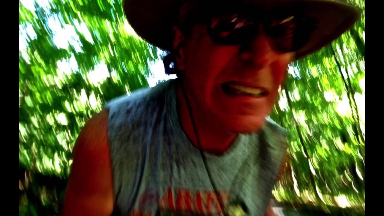 Typical Flies George Ribar - YouTube