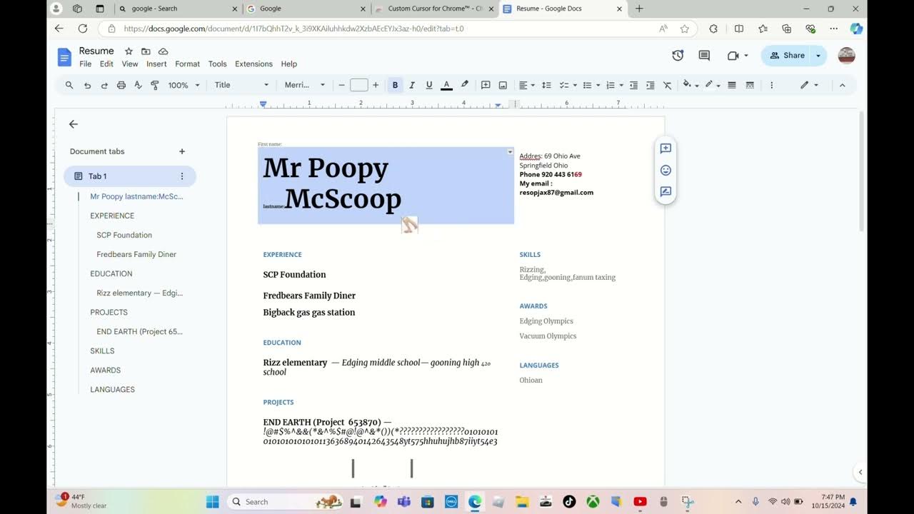 My Resume:) - YouTube