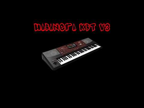 Hebanera kbt v3 korg pa700