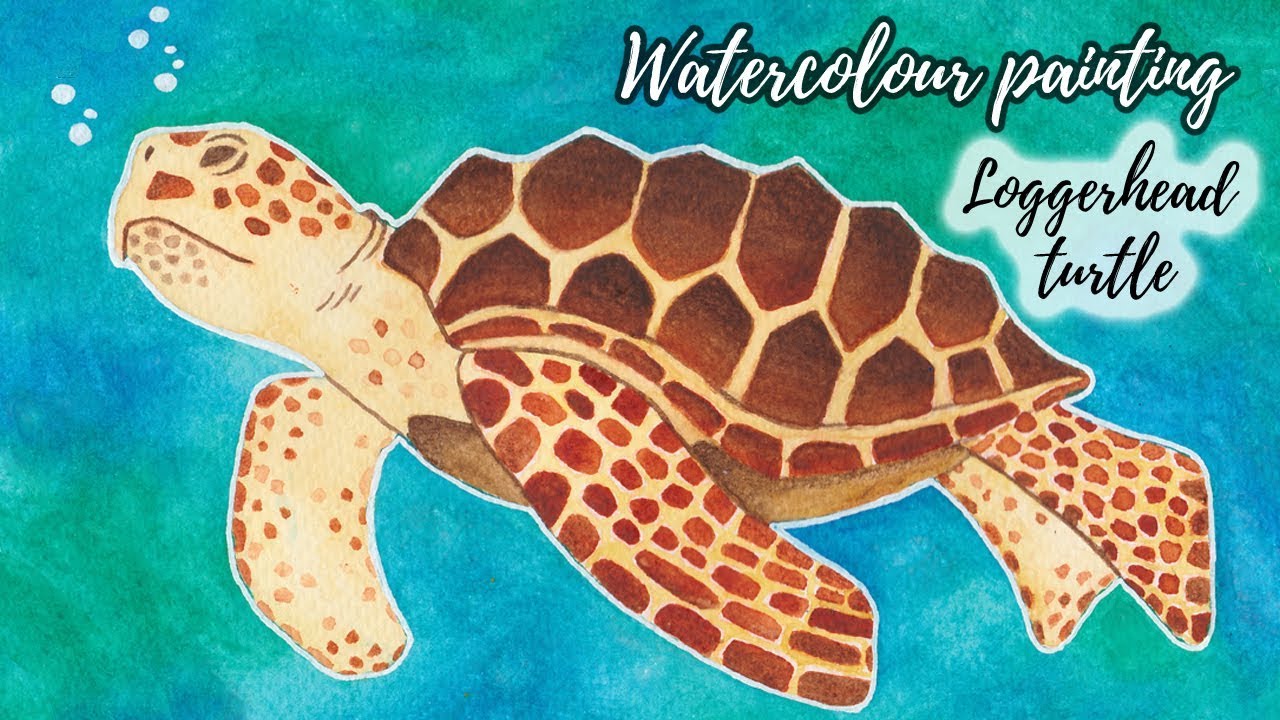 Painting a Loggerhead Turtle | Watercolour Illustration - YouTube