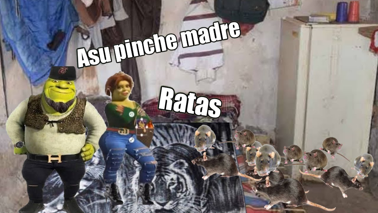 Shrek se infesta de ratas ( especial 1000subs) - YouTube