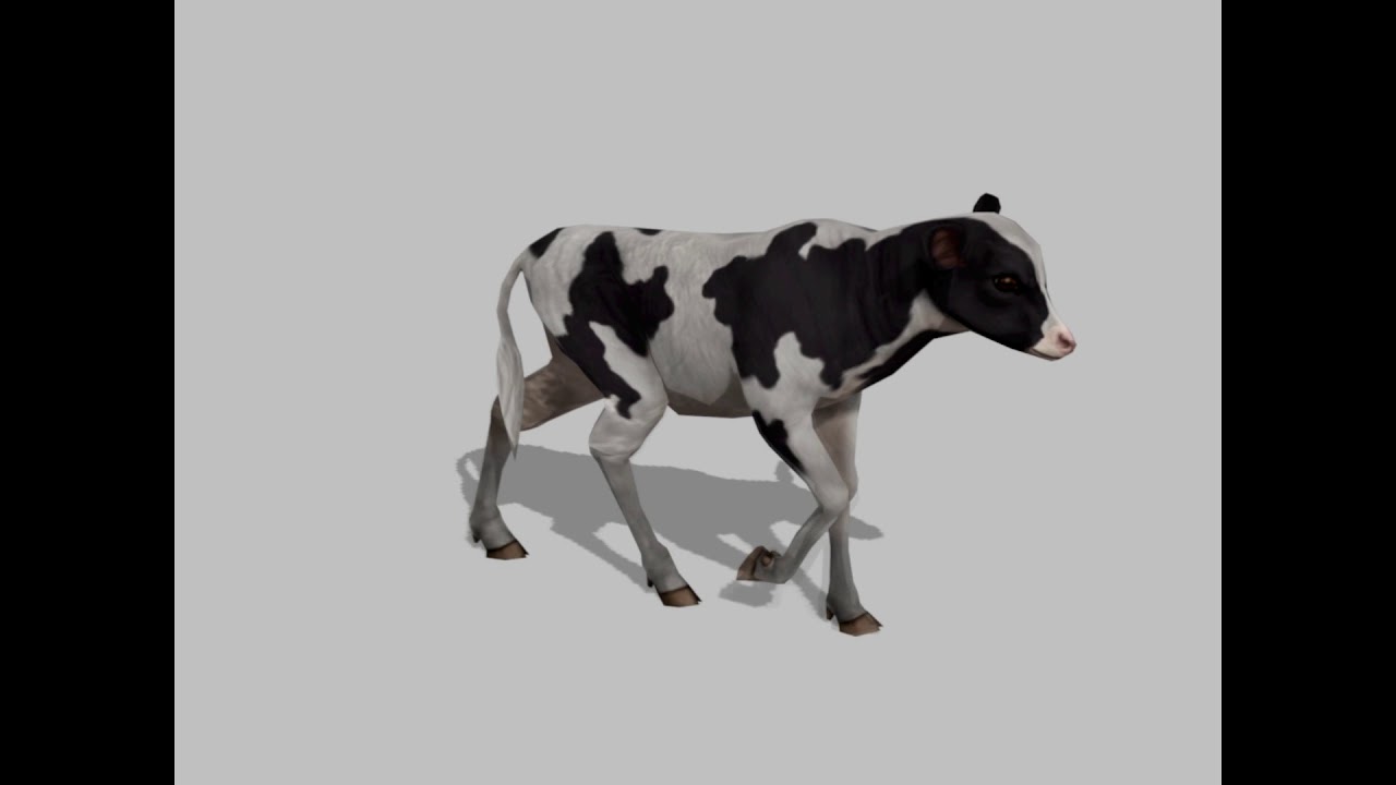 Wildcraft Update: Pet animation preview (cow) - YouTube