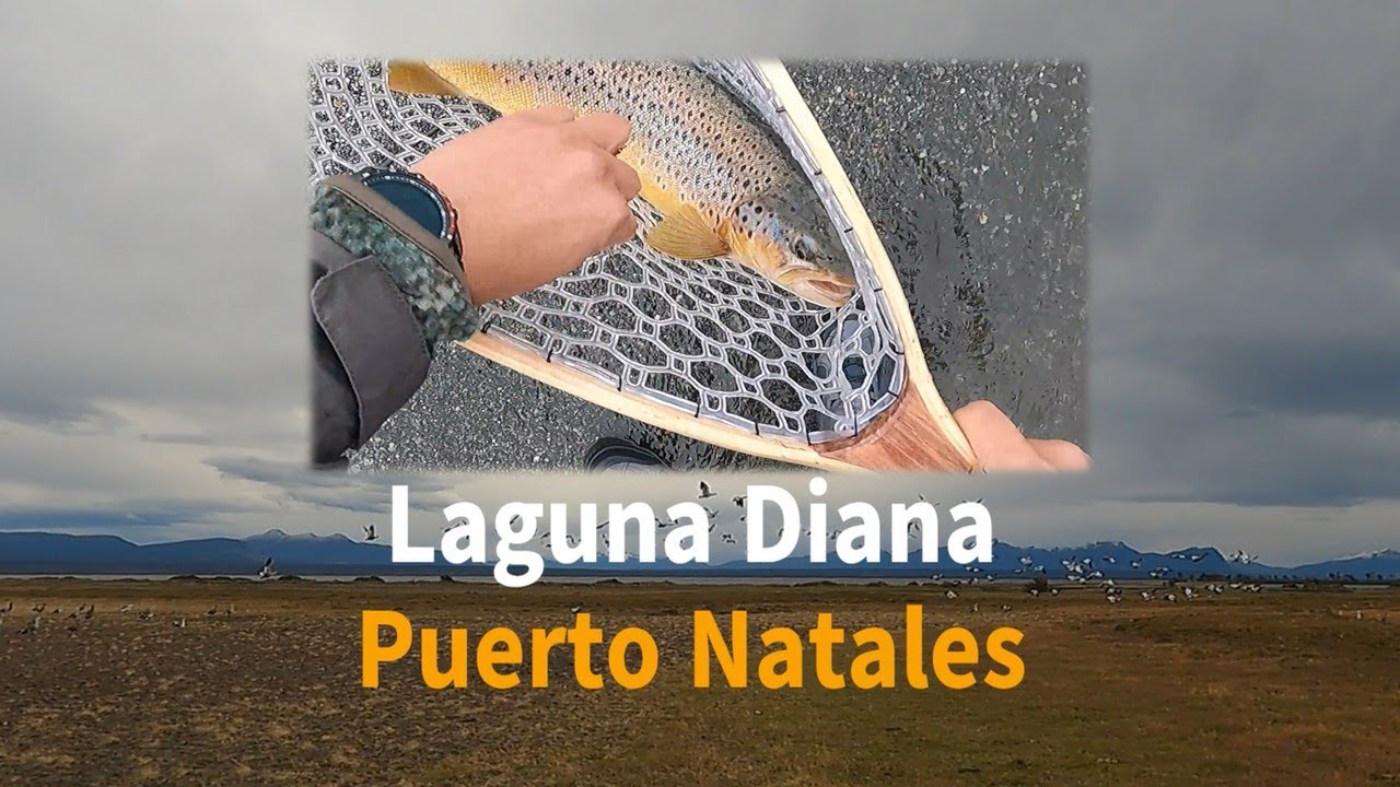 Laguna Diana Express - YouTube
