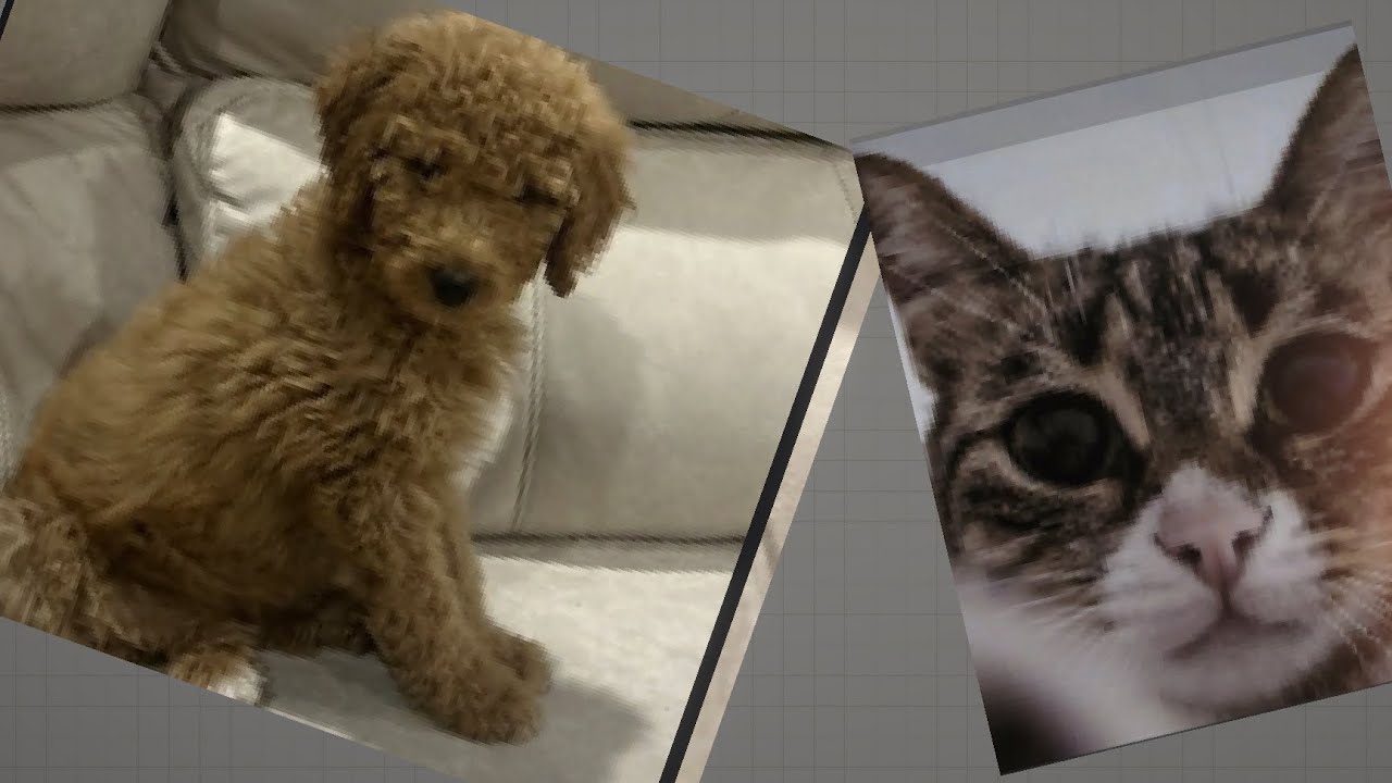 Cat 23 - YouTube