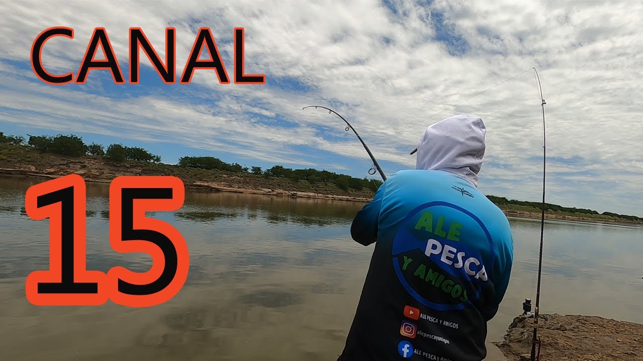 Pesca en canal 15 como siempre mucha pesca. - YouTube