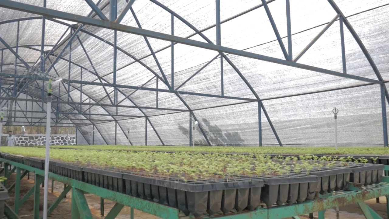 Highlight Video Persemaian Permanen BPDASHL SOLO - YouTube